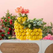 Décoration citron : la tendance vitaminée incontournable pour le ...