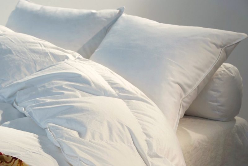 Comment choisir un oreiller plume d’oie pour un confort optimal ...
